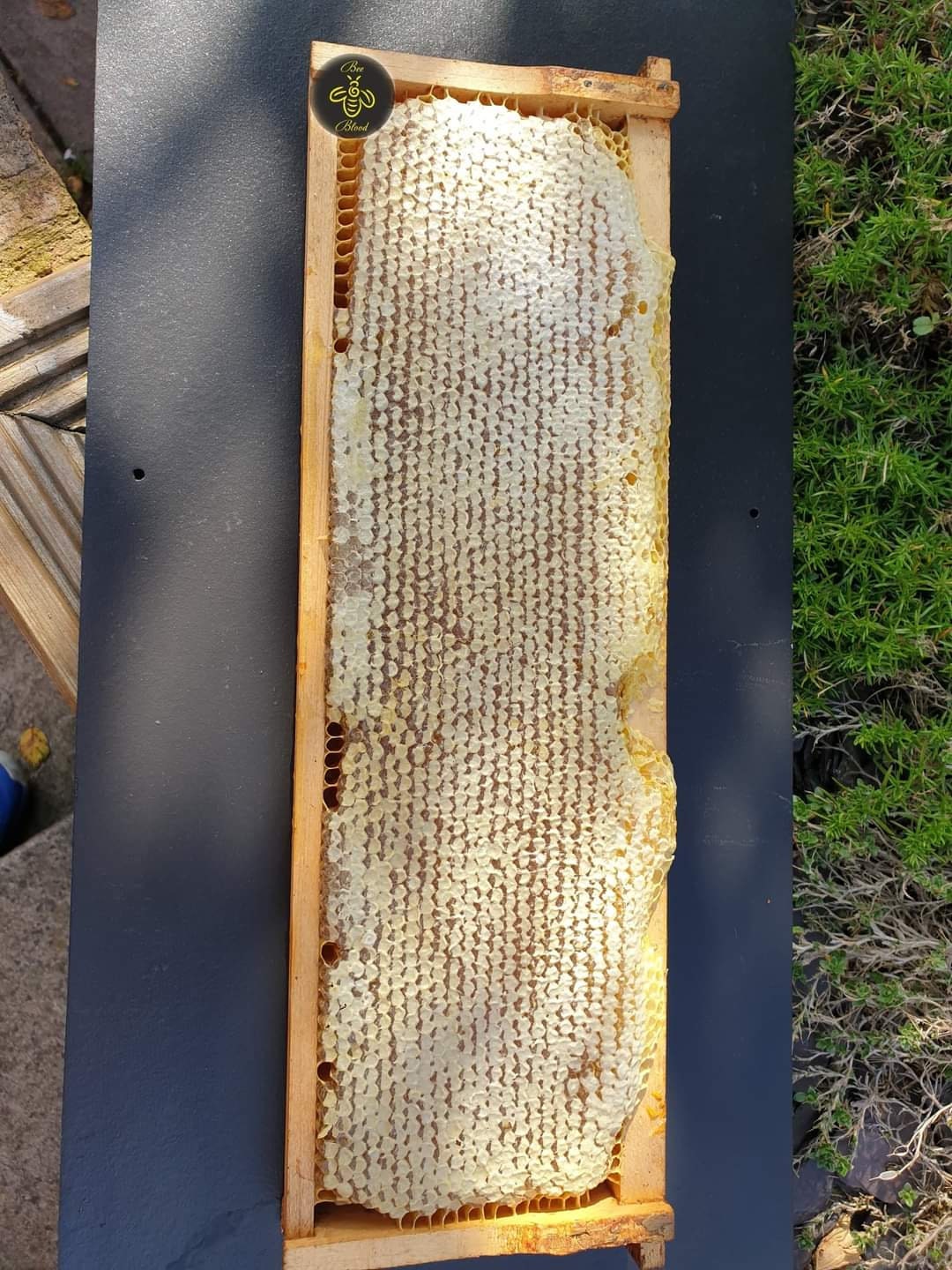 Full Frame of Honeycomb 2.000-2300grams , Organic Honey 2025 Harvest - Etsy