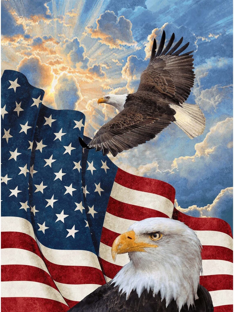 Bald Eagle & Flag Diamond Painting Kit 2 Sizes - Etsy