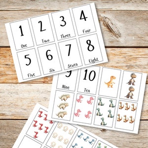 Dino Matching Flashcard I Dino Flashcards I Preschool Counting Flash ...