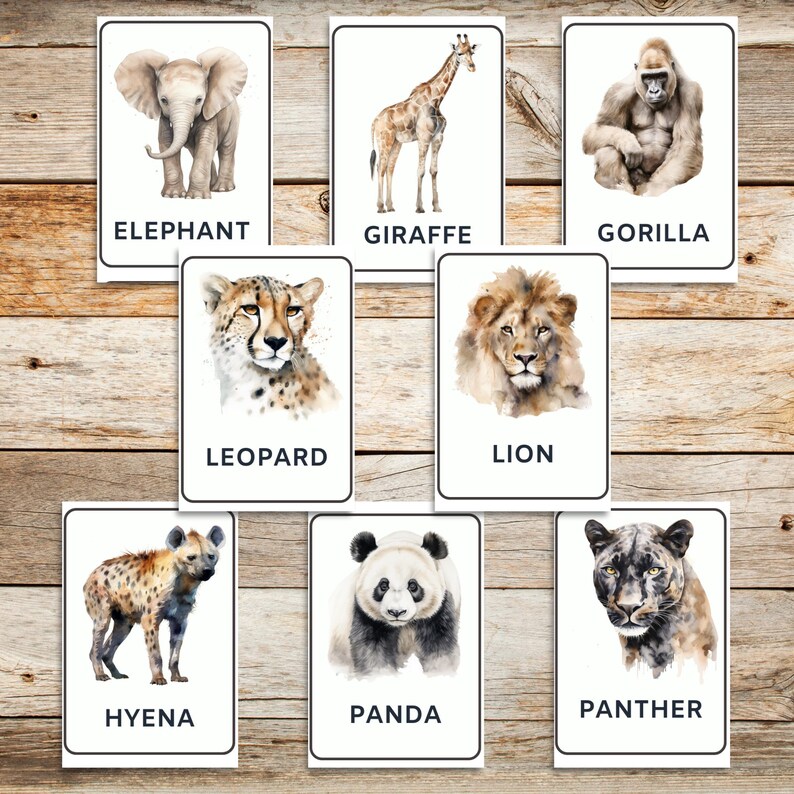 Zoo Animals Flashcards, Safari Flash Cards, Animal, Montessori ...