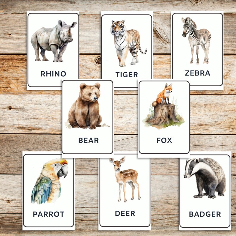 Zoo Animals Flashcards, Safari Flash Cards, Animal, Montessori ...