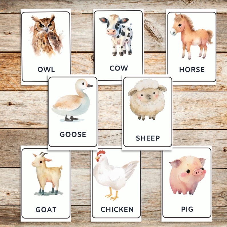 Zoo Animals Flashcards, Safari Flash Cards, Animal, Montessori ...