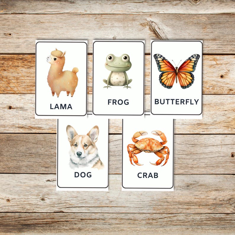 Zoo Animals Flashcards, Safari Flash Cards, Animal, Montessori ...