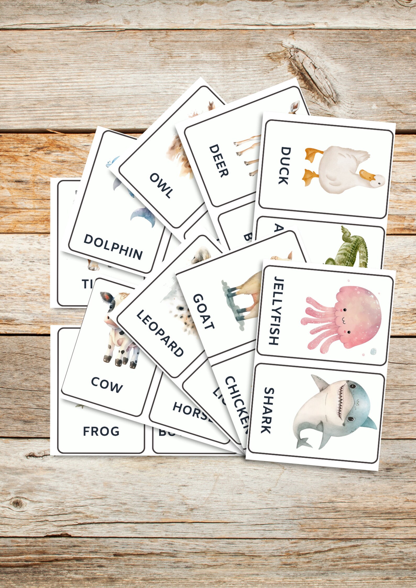 Animal Flash Cards I Pet Farm Animal Flashcards I Zoo Jungle Animals I ...