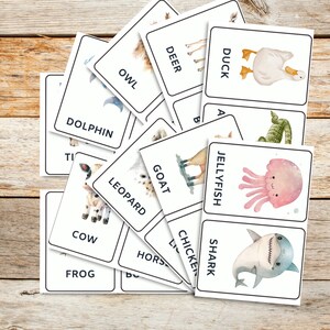 Animal Flash Cards I Pet Farm Animal Flashcards I Zoo Jungle Animals I ...