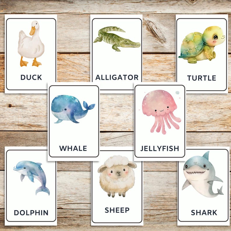 Zoo Animals Flashcards, Safari Flash Cards, Animal, Montessori ...