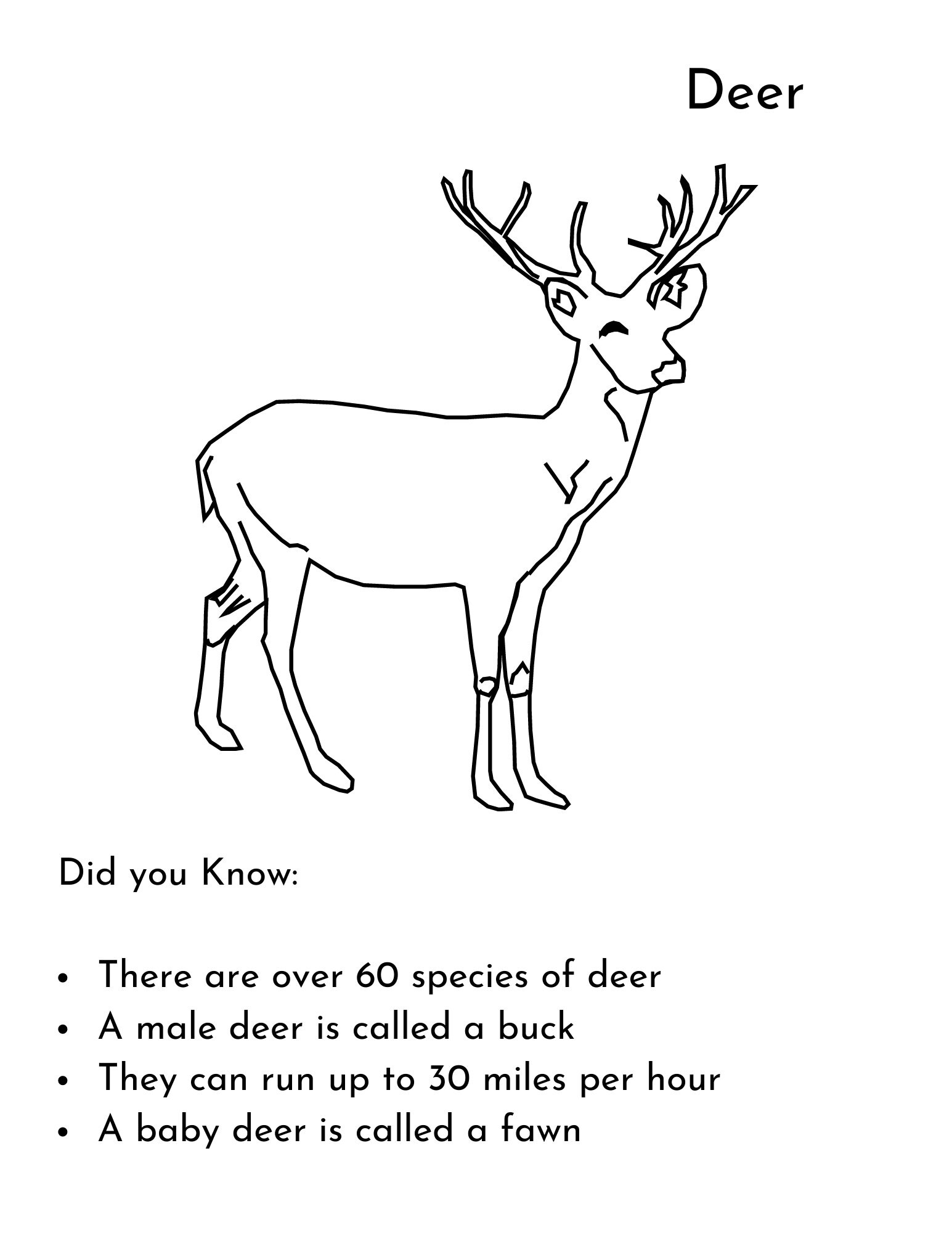 Did You Know? - Animal Facts & Coloring Pages - Etsy