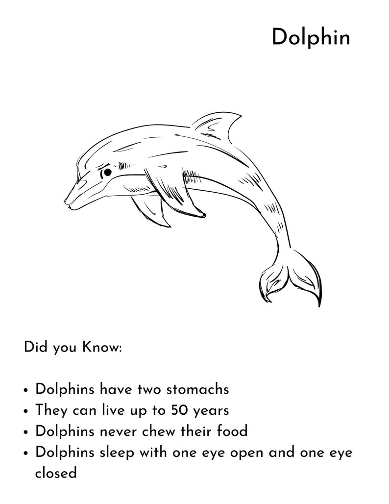 Summer Fun Activity Pages - Etsy