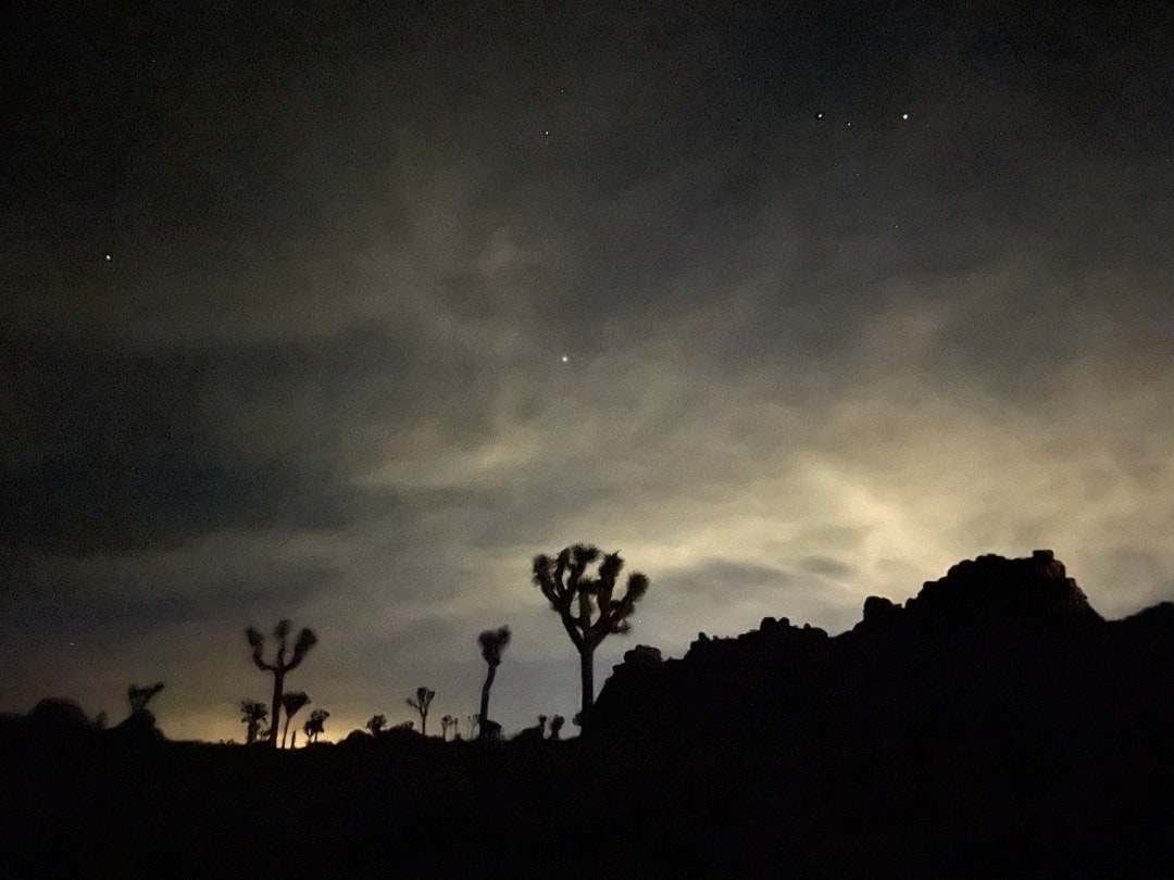 Joshua Tree Night Sky - Etsy