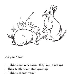 Spring Coloring Pages - Etsy