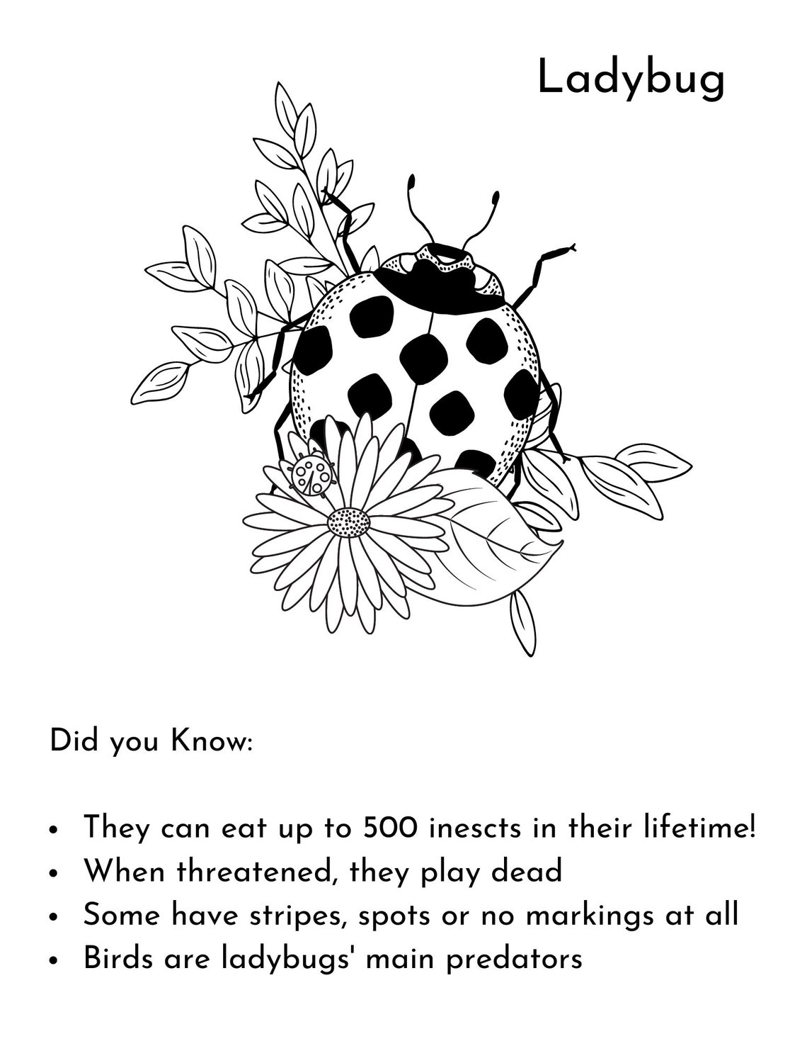 Did You Know? - Animal Facts & Coloring Pages - Etsy