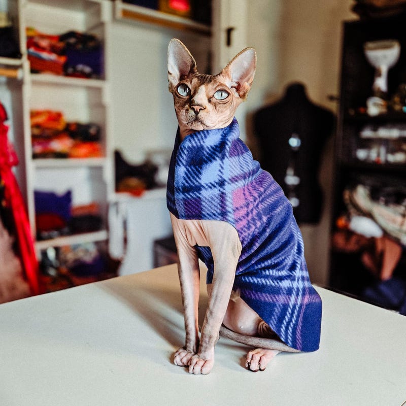 Sphynx Clothing Winter - Etsy