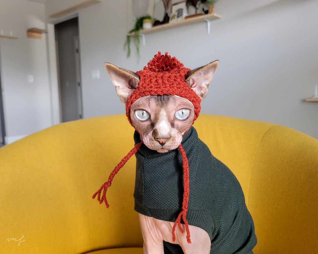 Sphynx Cat Clothes Orange Hat Cat Hat - Etsy