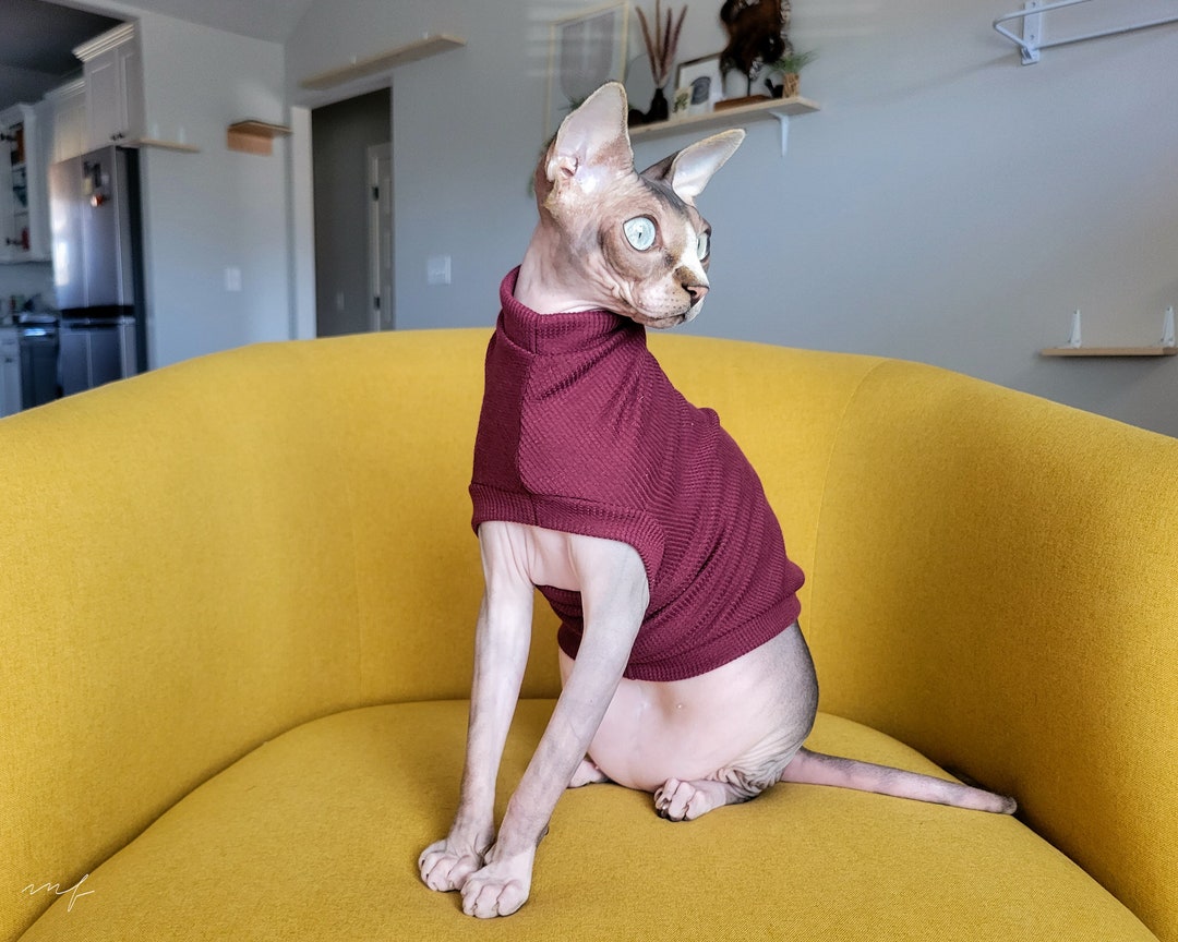 Sphynx Cat Easy-on Shirt Maroon Cat Clothes - Etsy