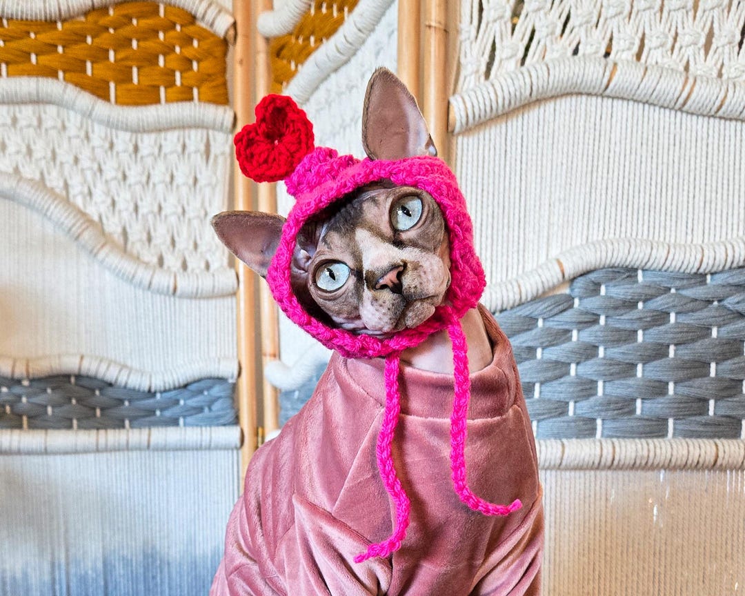 Sphynx Cat Hat - Crotchet Beanie Hat for Cats for Valentines - Etsy