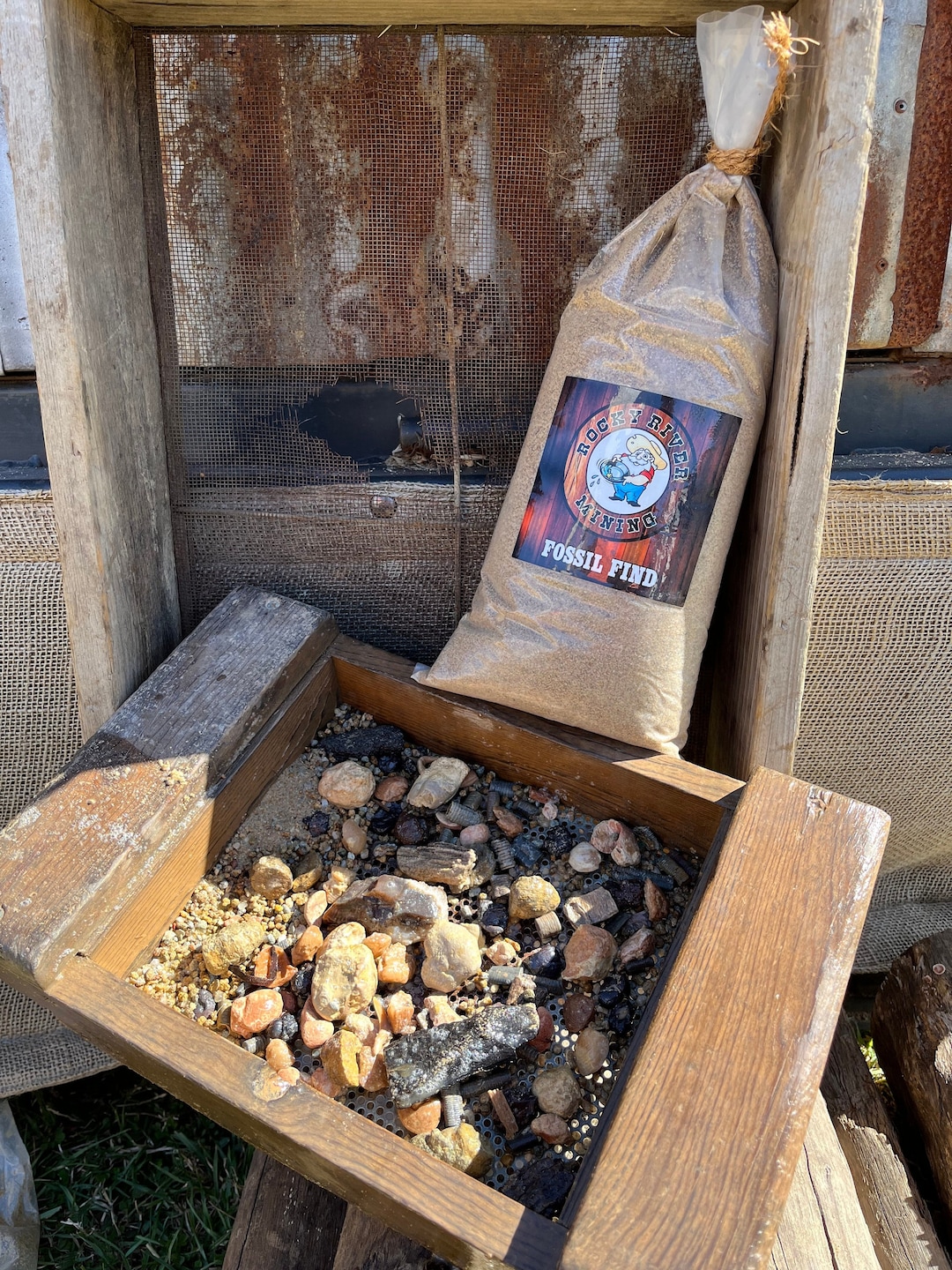 Fossil Find Mining Bag/ Fossils/dinosaurs/educational Activities for ...