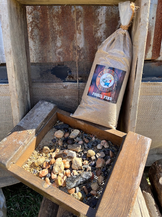 Fossil Find Mining Bag/ Fossils/dinosaurs/educational - Etsy Australia