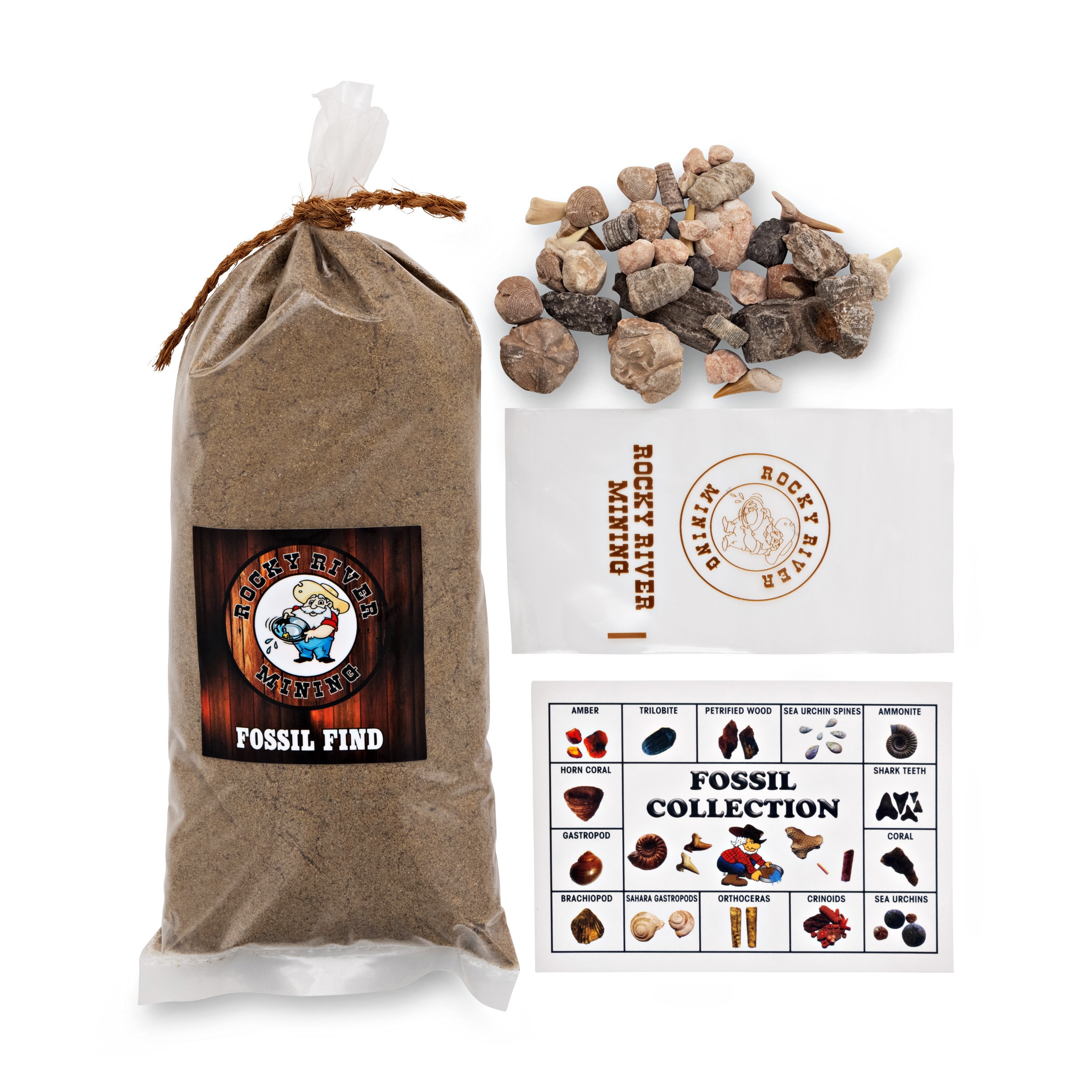 Fossil Find Mining Bag/ Fossils/dinosaurs/educational Activities for ...