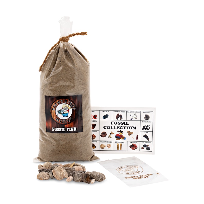 Fossil Find Mining Bag/ Fossils/dinosaurs/educational Activities for ...