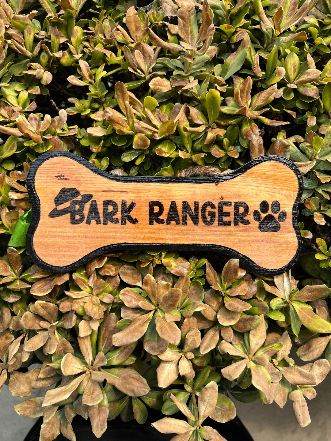 Wooden Sign Bark Ranger for Dogs - Etsy