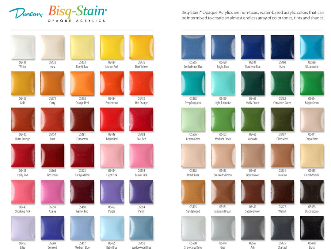 Duncan Bisq-stain® Opaque Acrylic Paint - Etsy
