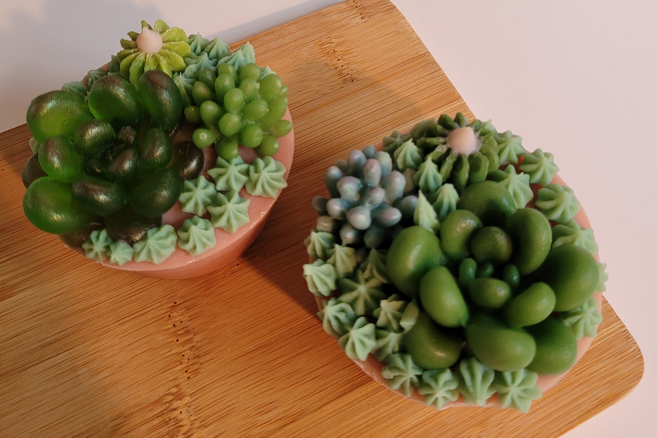 Succulent Soap Perfect Gift for Succulent Lover Plant Lover - Etsy