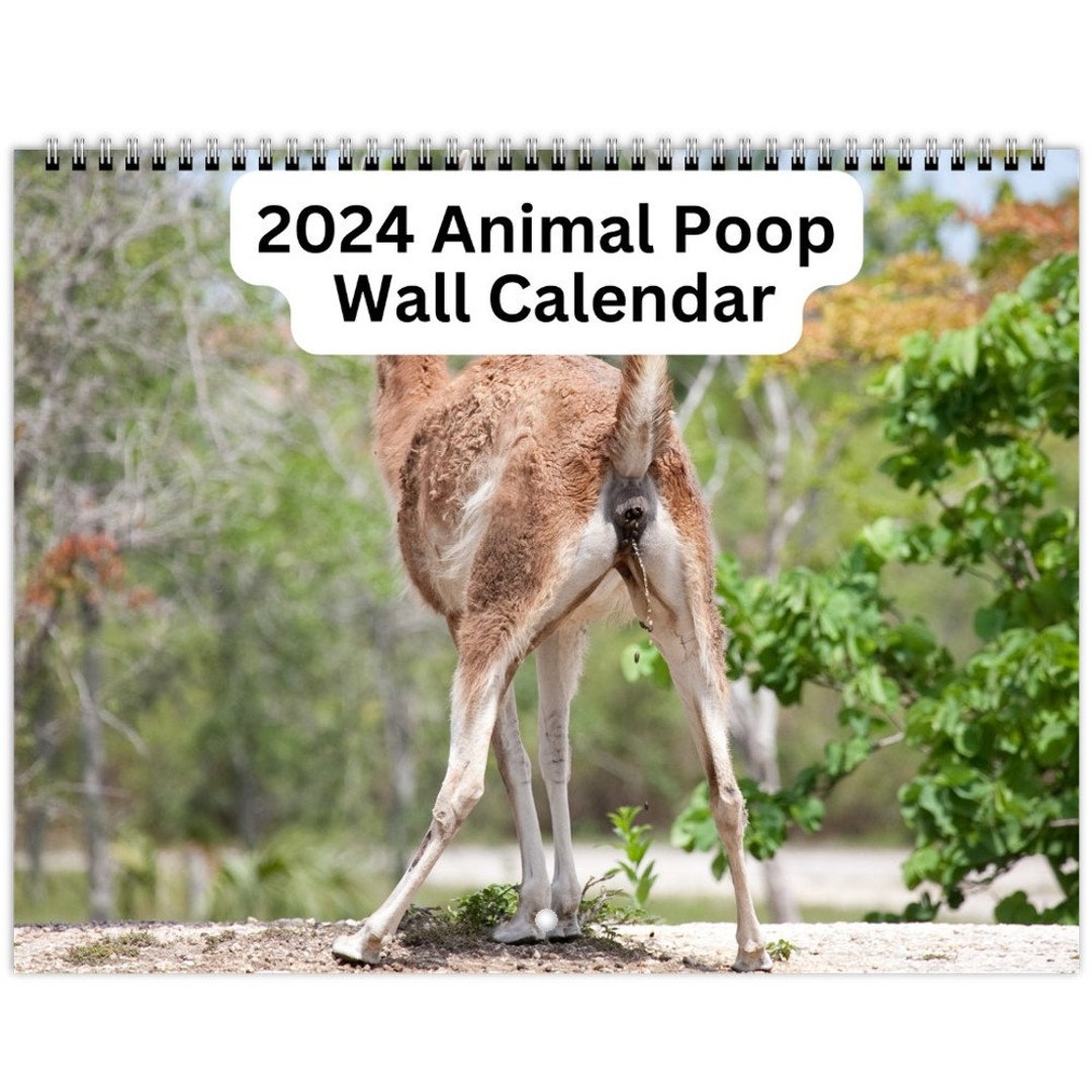 2024 Animal Pooping Wall Calendar Dogs Pooping Funny Wall - Etsy Australia