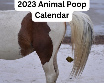 2023 Pooping Calendar - Etsy