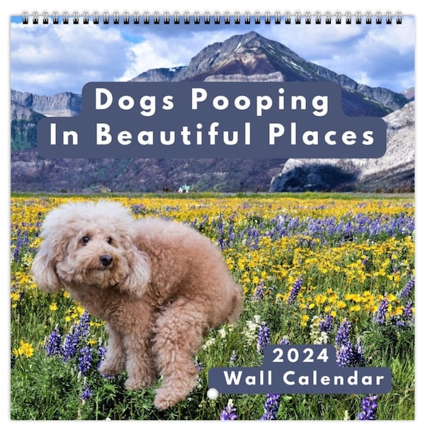 2024 Dog Poop Calendar - Etsy
