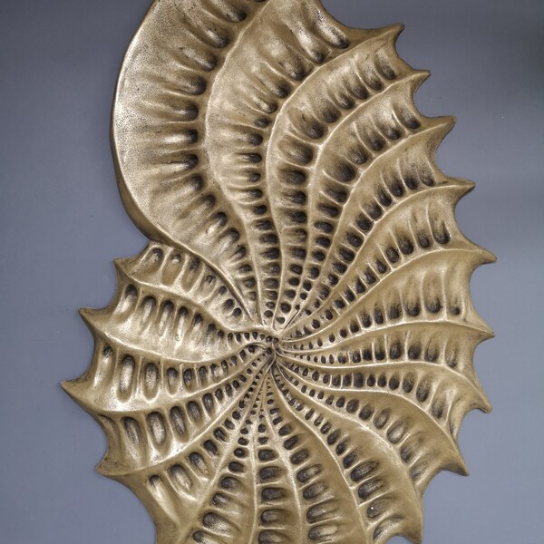 Sea Shell Sculpture - Etsy