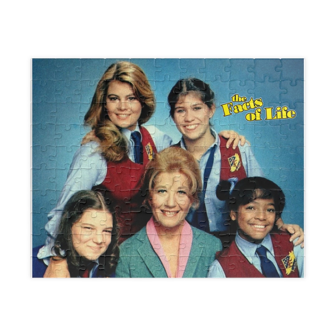 The Facts of Life Throwback Puzzle (110, 252, 520, 1014-piece) Jo Trudy ...