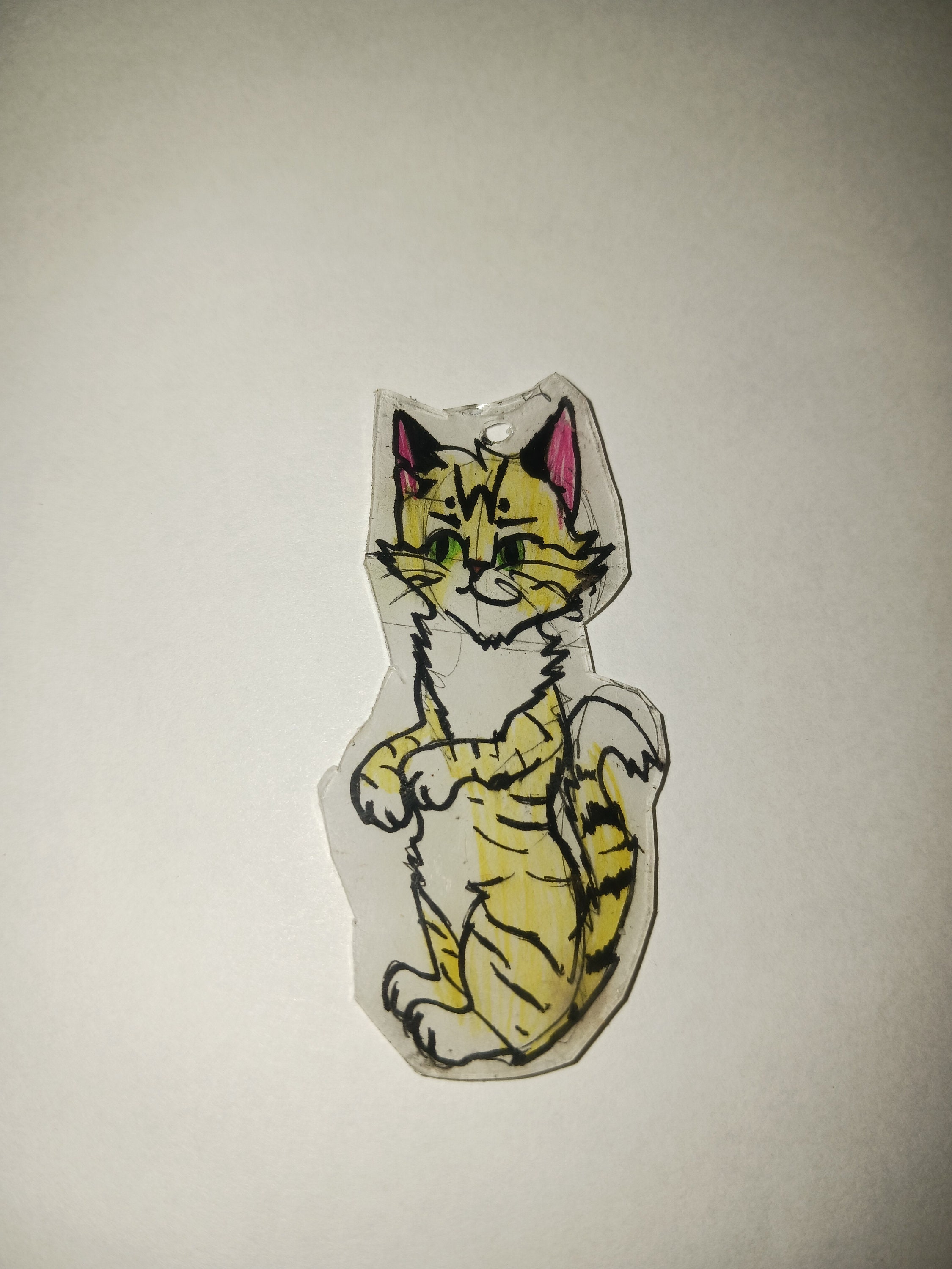 Warrior Cats Keychain - Etsy