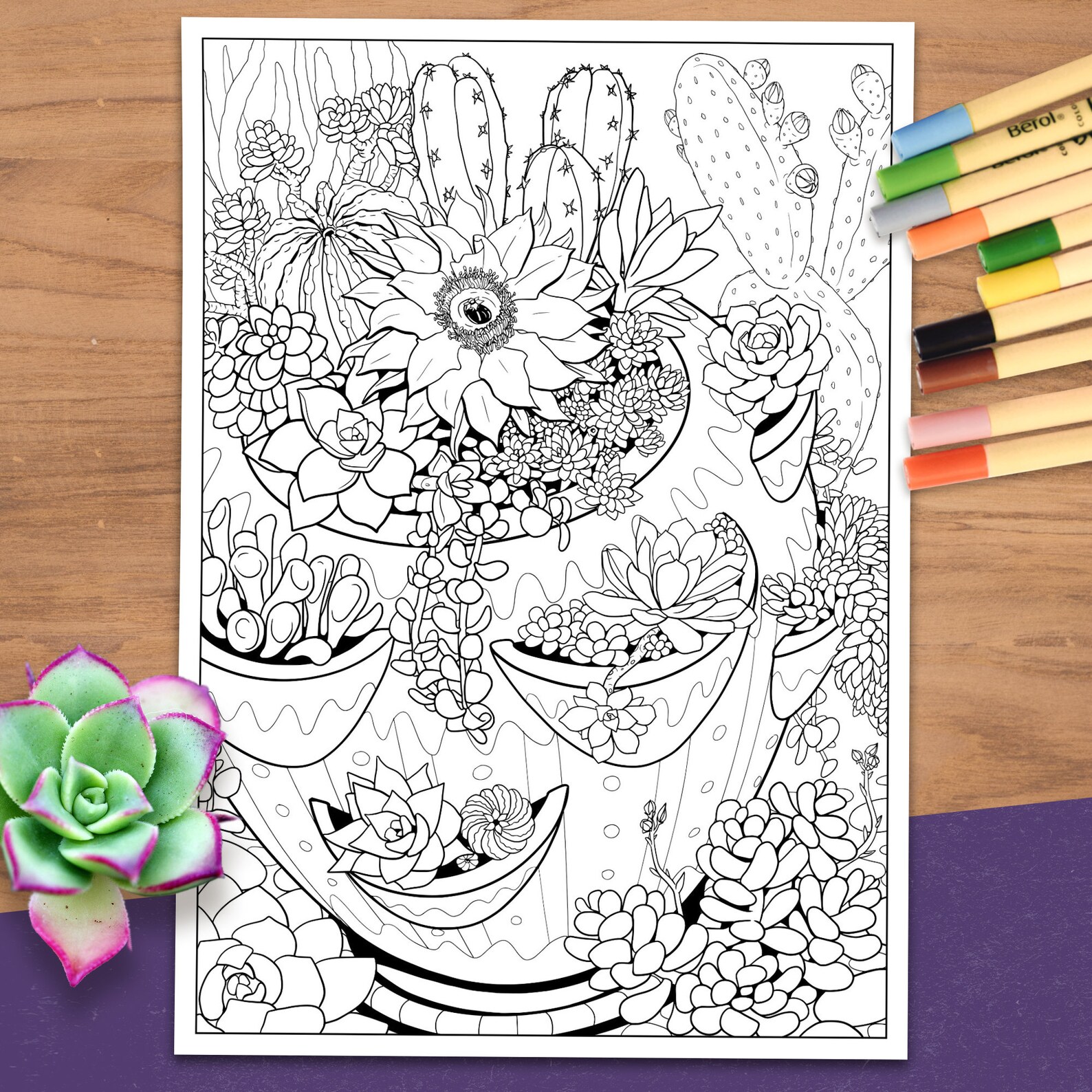 Printable Adult Colouring Pages | Cactus & Succulents | Digital ...