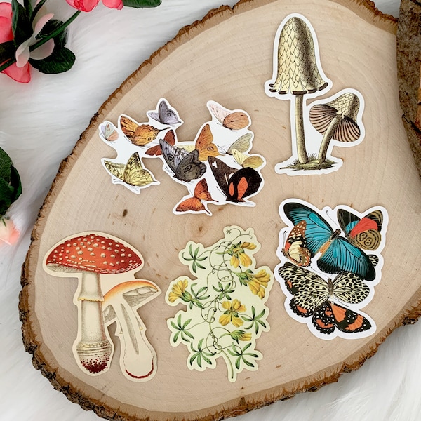 Cottagecore Water Bottle Stickers - Etsy