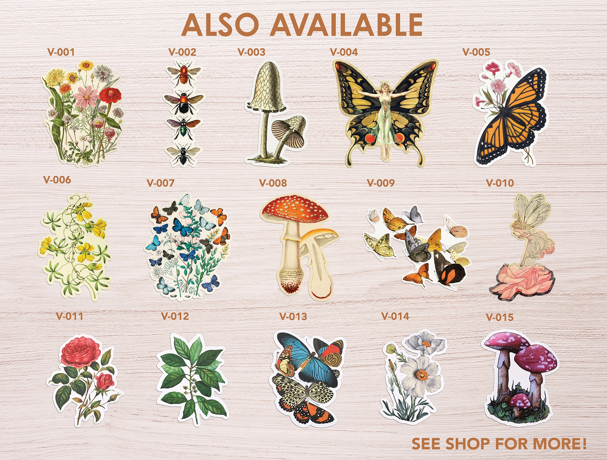 10 Sticker Pack Vinyl Sticker Bundle Cute Water Bottle - Etsy