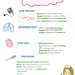 Nursing Vital Signs: Cheat Sheet - Etsy