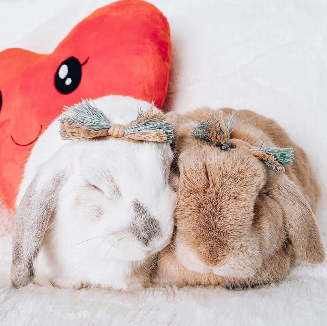 Fiber Bunny Bow With Adjustable Headband - Etsy