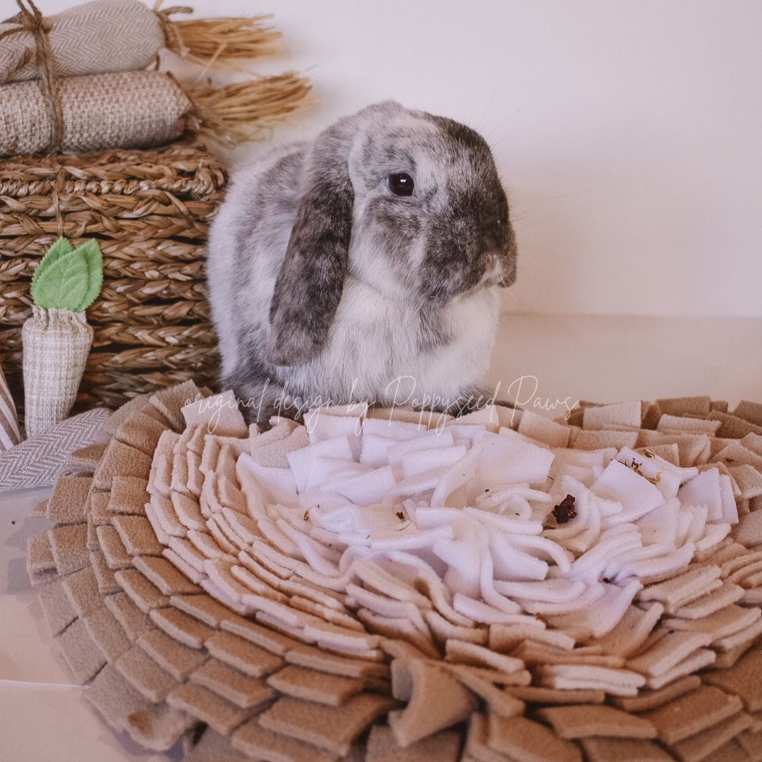 Original Heart Forager Snuffle Mat & Aesthetic Fleece Slow Feeder ...