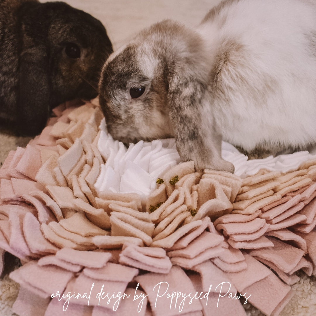 Original Rainbow Forager Snuffle Mat & Aesthetic Fleece Slow - Etsy