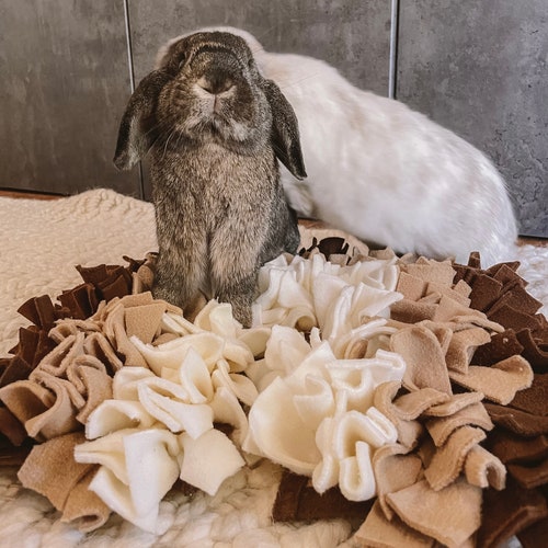 Bunny Rabbit Snuffle Mat Foraging Blanket Stimulation Treat - Etsy Ireland