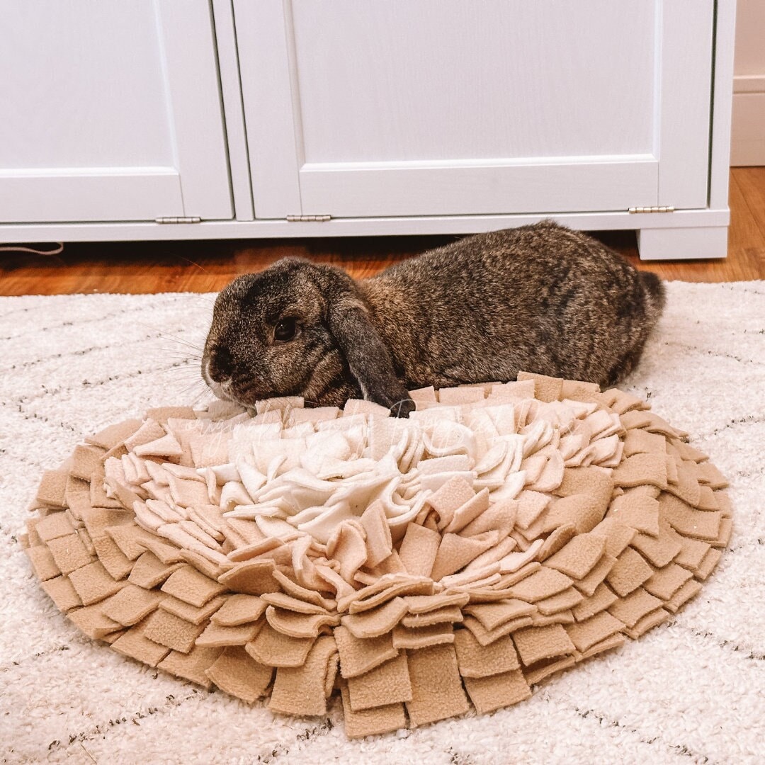 Original Heart Forager Snuffle Mat & Aesthetic Fleece Slow Feeder ...