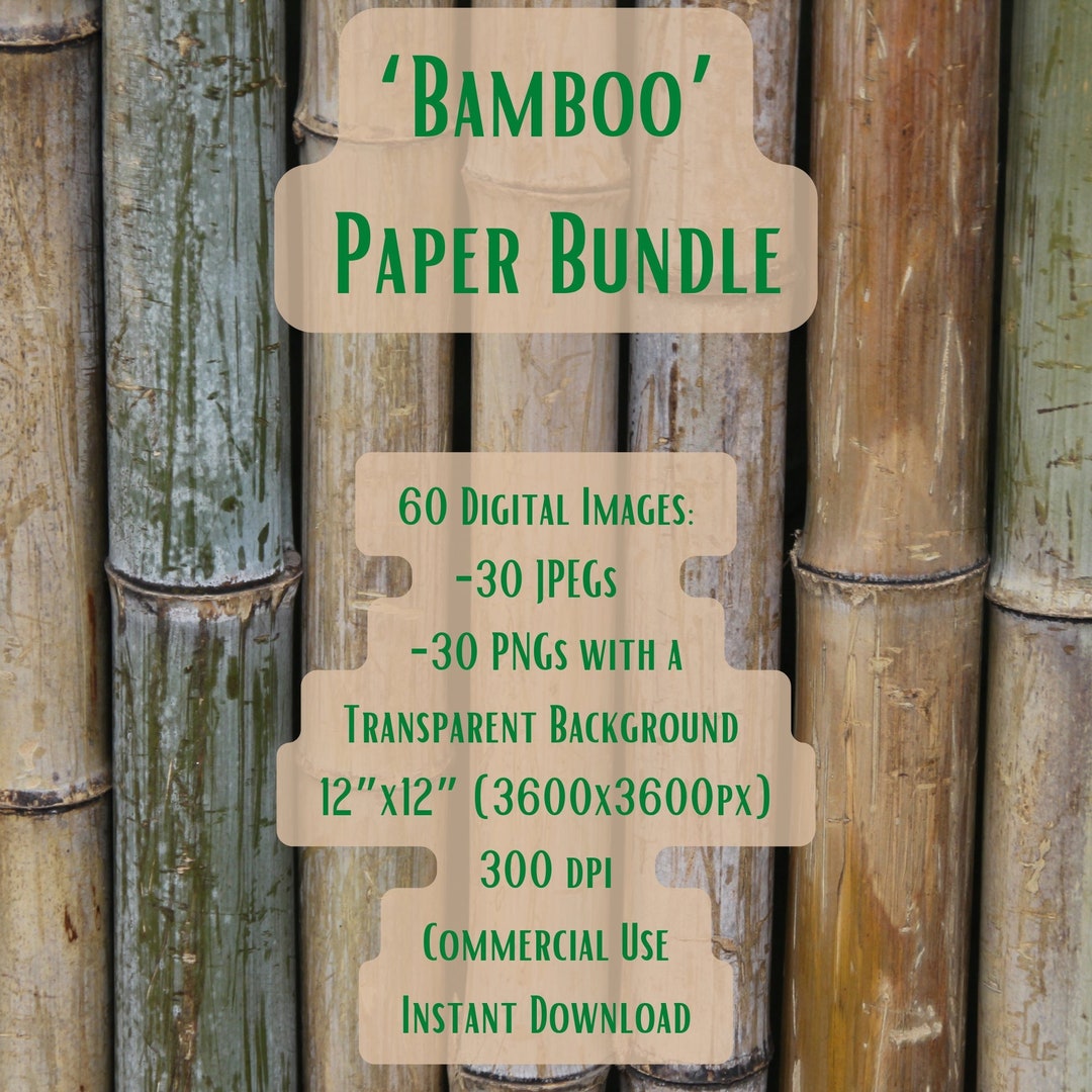 Bamboo Digital Paper Bundle, 60 Total Images for Instant Download, JPEG ...