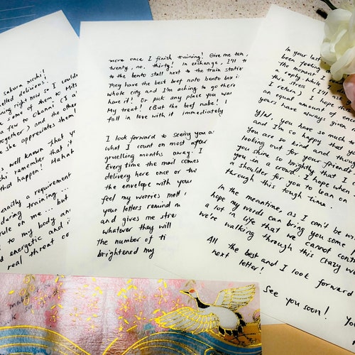 Custom Character Comfort Letter - Etsy