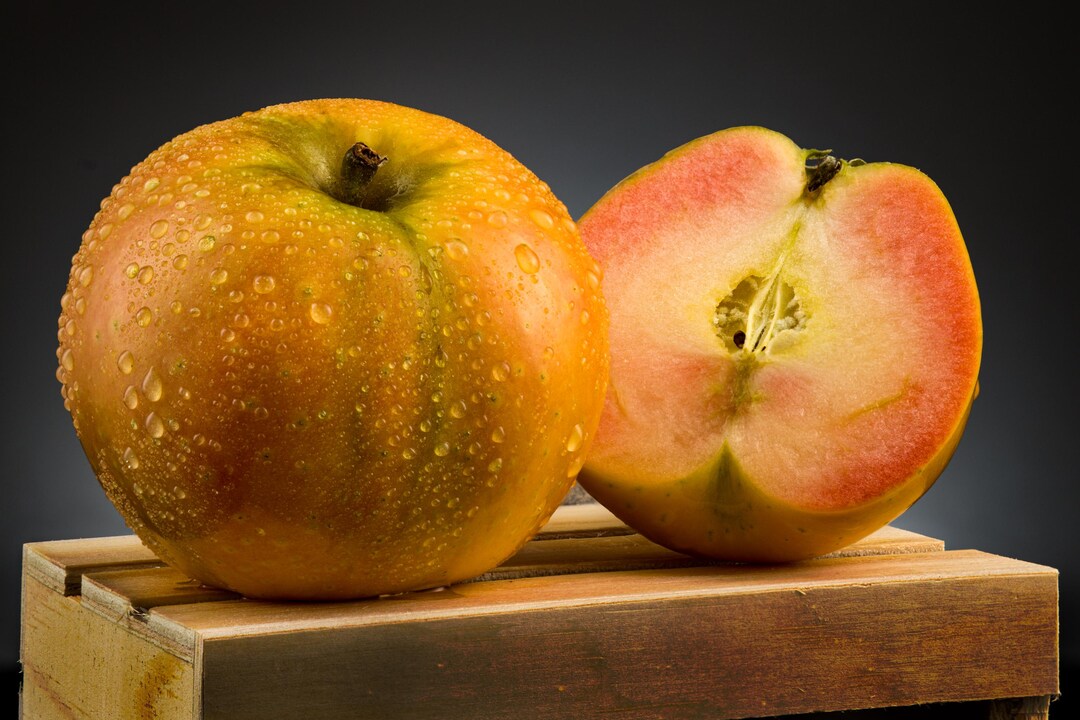 Beautiful Kissabel Apple Print Kitchen Art Printable Photography High ...