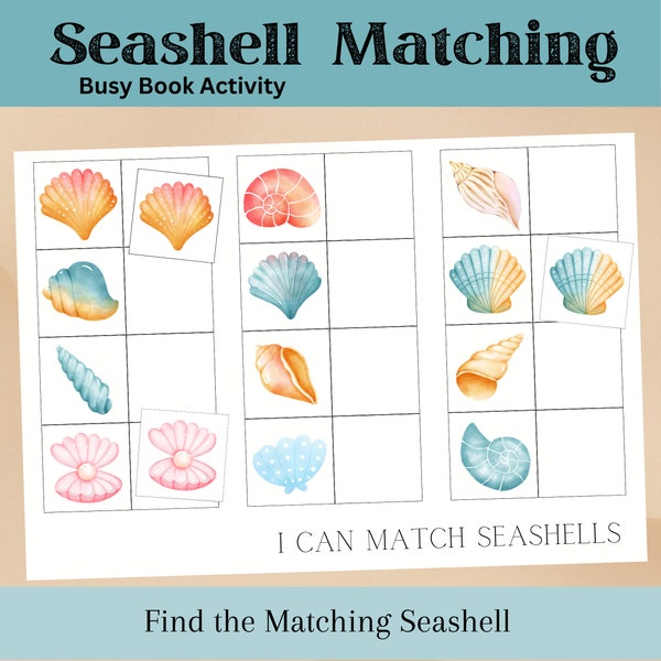 Seashell Ocean - Etsy