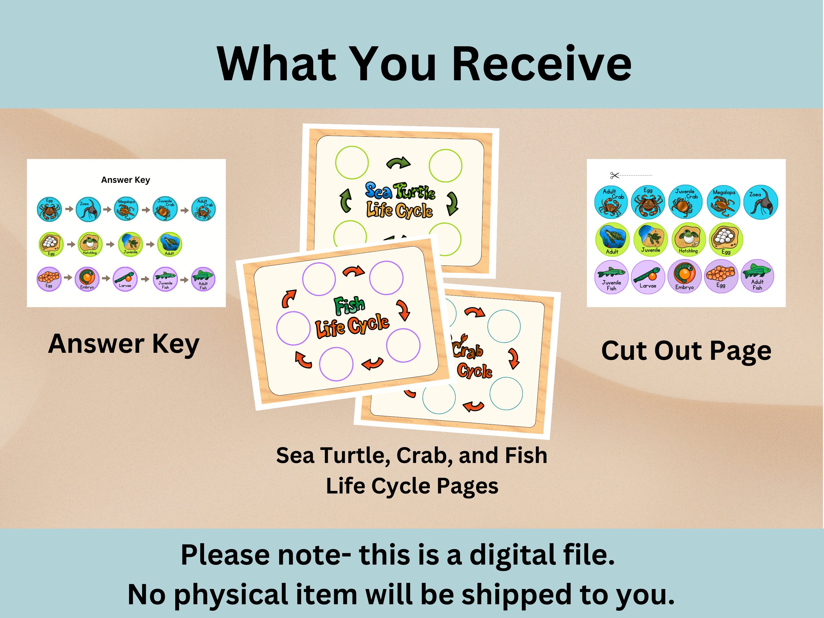 Ocean Animal Life Cycle | Toddler Preschool Quiet Book | Sea Turtle ...