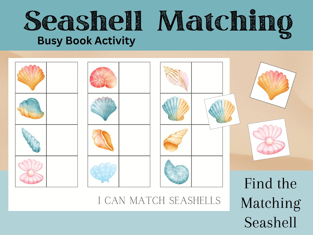 Toddler Busy Book Ocean Activity Page Seashell Matching - Etsy
