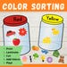 Color Sorting Activity | Preschool & Toddler Learning | Printable Busy ...