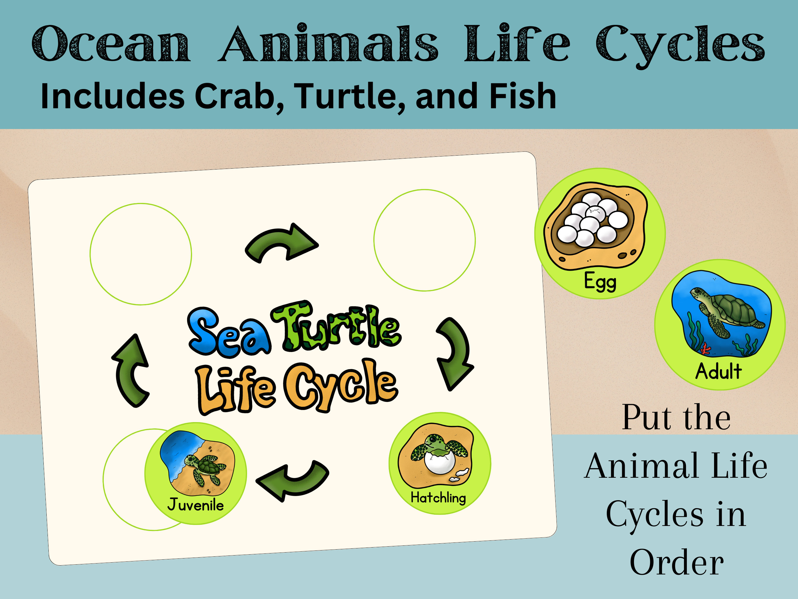 Ocean Animal Life Cycle Toddler Preschool Quiet Book Sea - Etsy