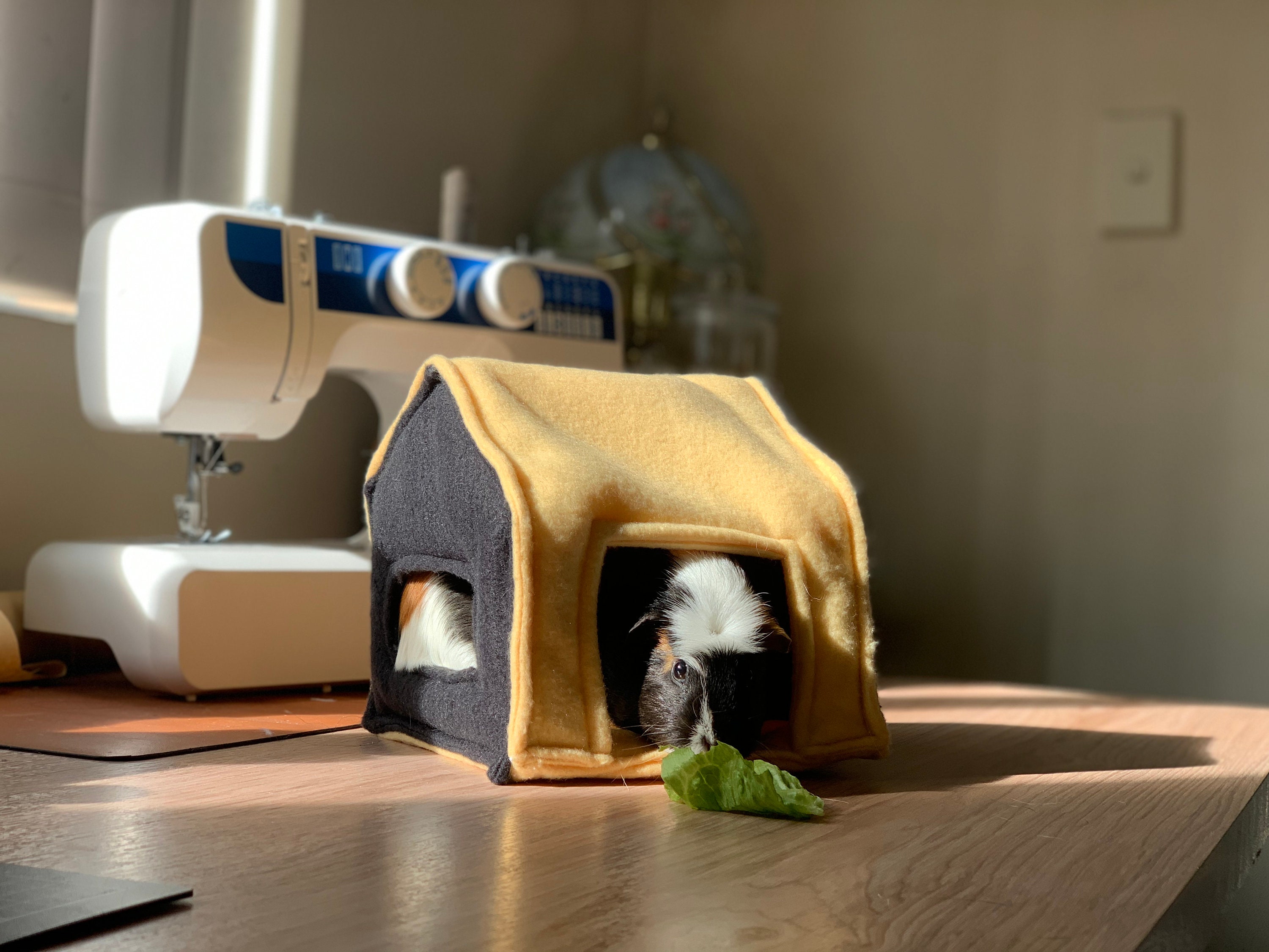 DIY Guinea Pig Tiny House Sewing Pattern - Etsy